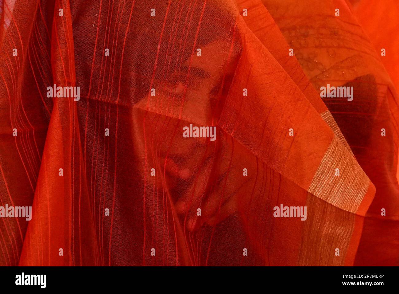A Kashmiri Muslim bride looks through her veil during a mass wedding in ...