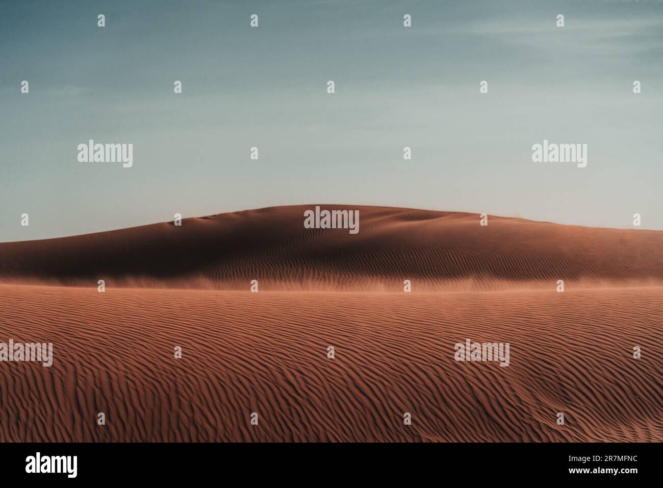 Nature's masterpiece: Intricate patterns sculpted by wind upon the ...