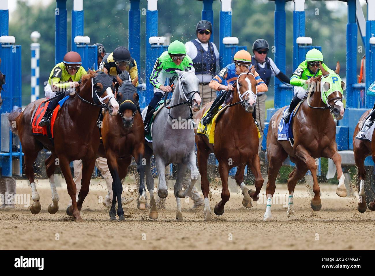HEMPSTEAD, NY - JUNE 10: Forewarned ridden by Dexter Haddock wins the ...