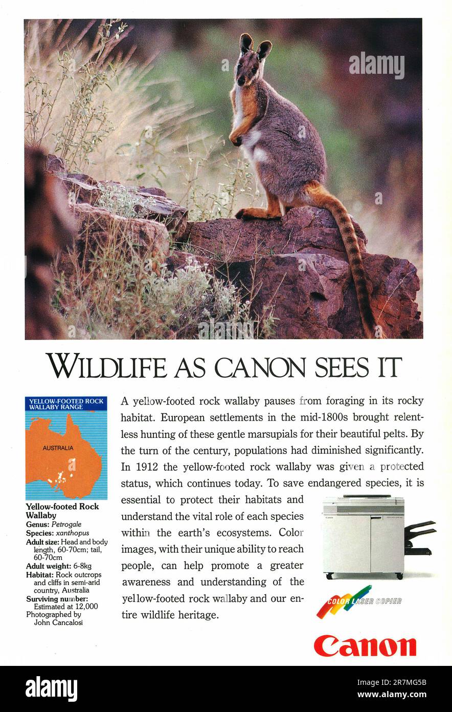 Canon color laser copier advert in a magazine 1990 Stock Photo - Alamy