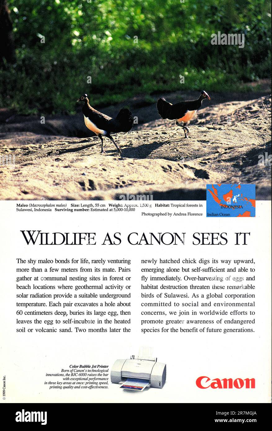 Canon Bubble Jet Printer advert in a magazine 1999 Stock Photo - Alamy