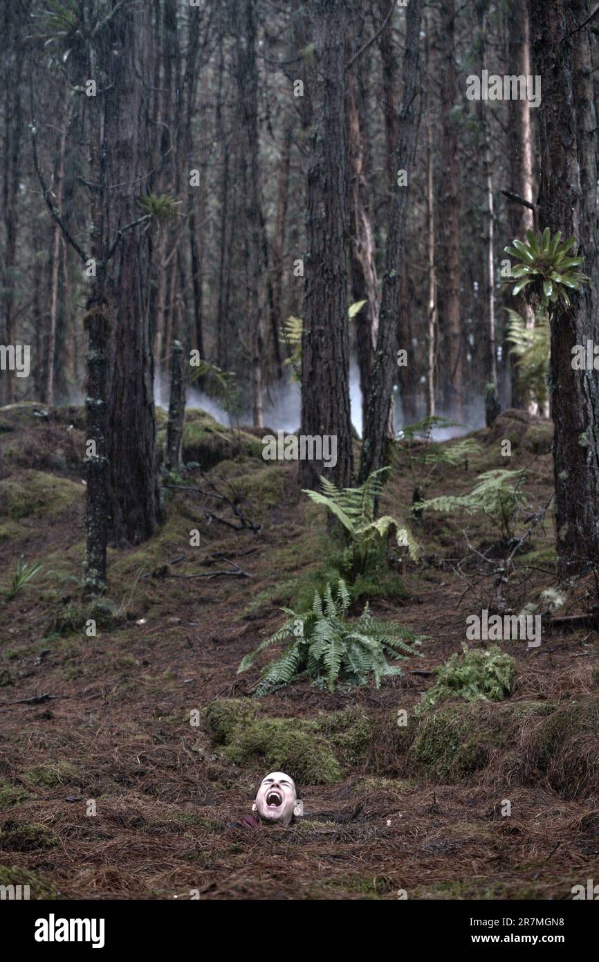 QUICKSAND, Carolina Gaitan, 2023. ph: Manuel Olarte / © Shudder ...