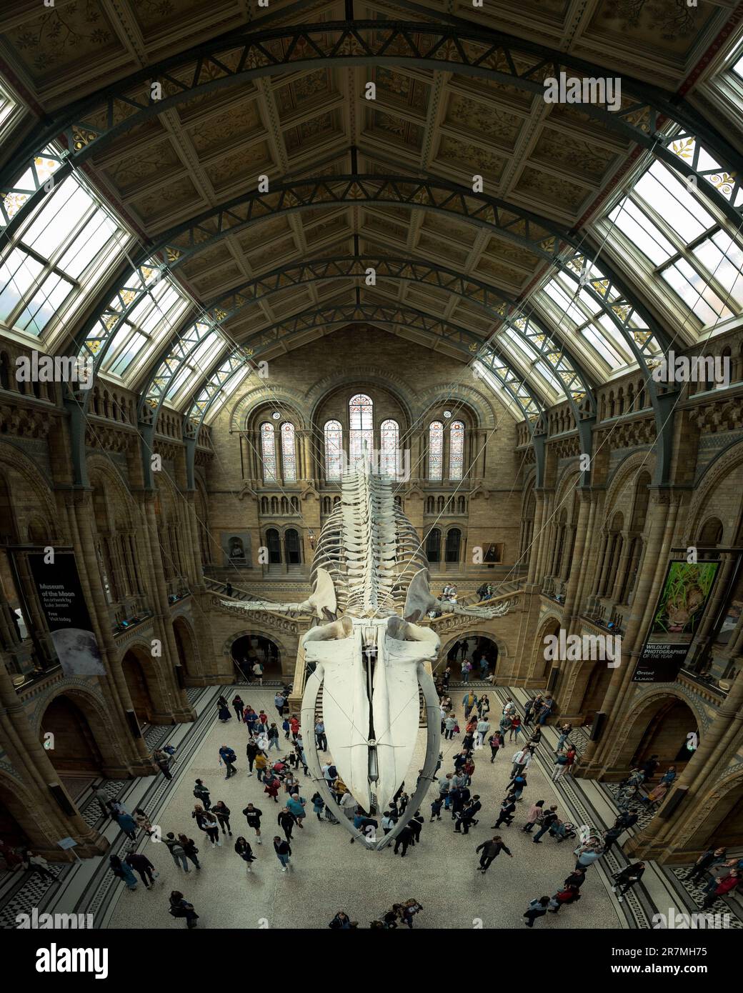 Inside the Natural History Museum in London, United Kingdom with the ...