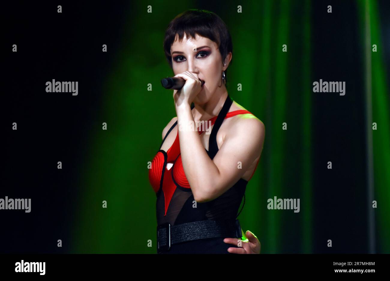Madrid, Madrid, Spain. 16th June, 2023. Premiere of the show ''Tribute ...