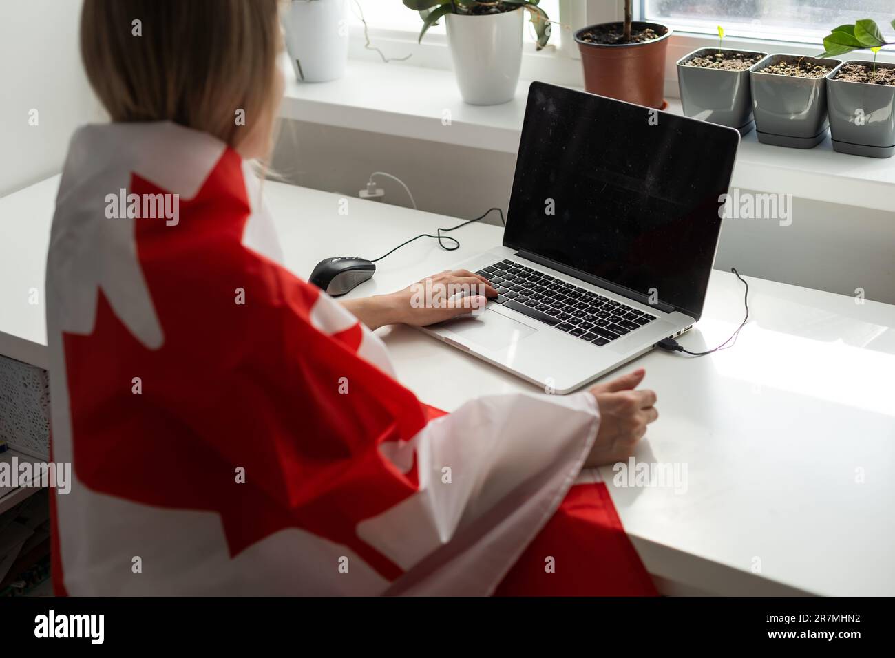 Canada National Flag Business Communication Connection Concept Stock ...