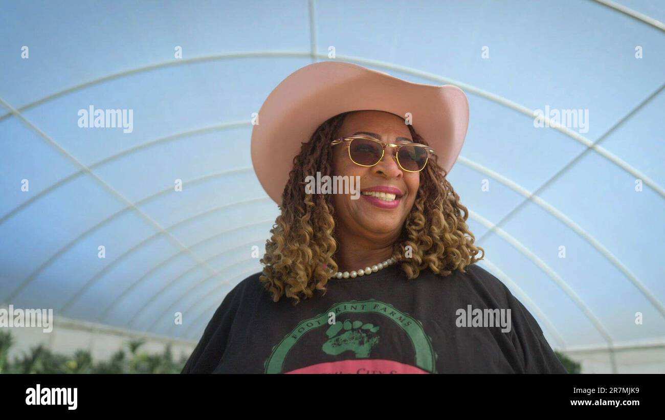 SEARCHING FOR SOUL FOOD, Dr. Cindy Ayers-Elliott, 'Mississippi ...