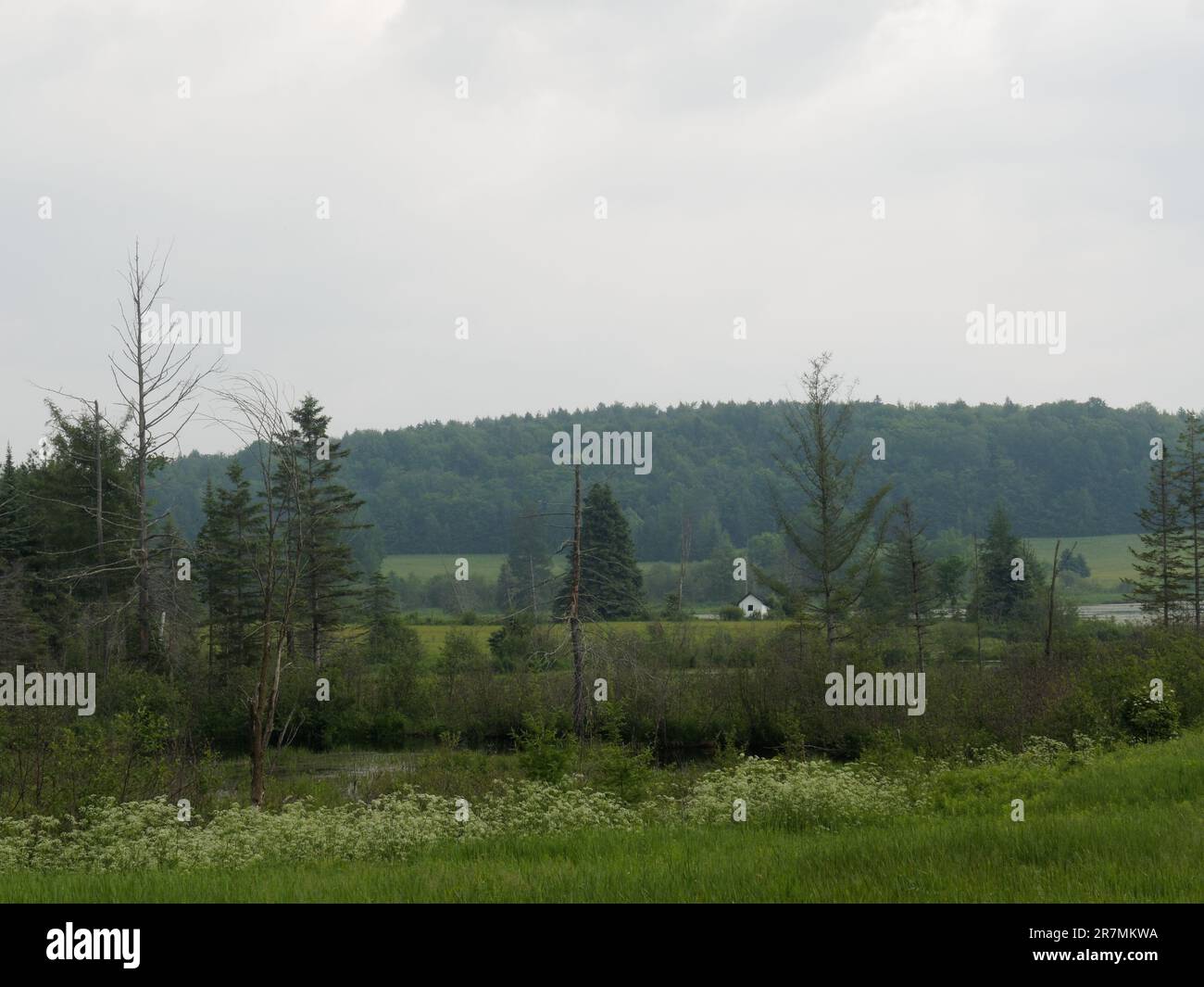 Smog caused by Quebec forest fires. Quebec,Canada Stock Photo - Alamy