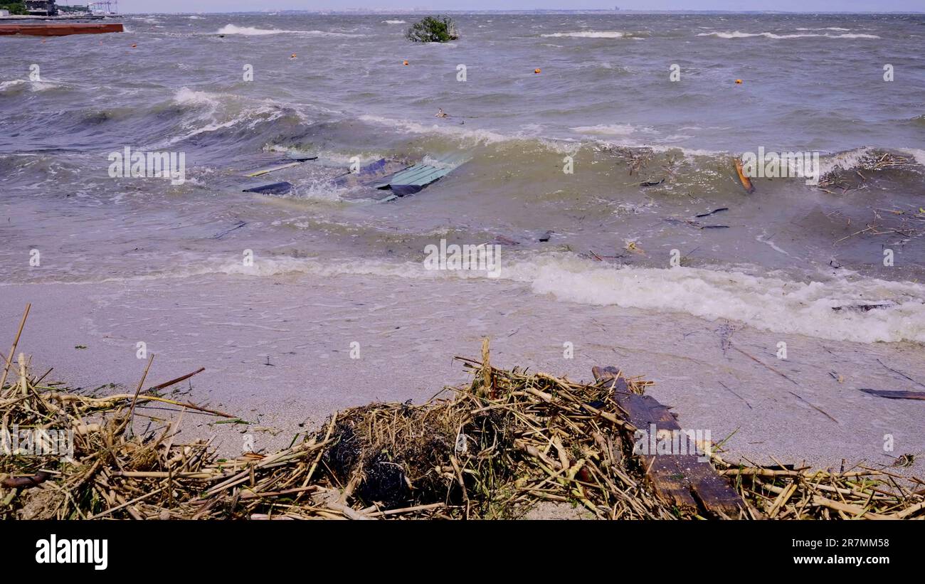 Part of wall of house floats near shore, floating debris has reached ...