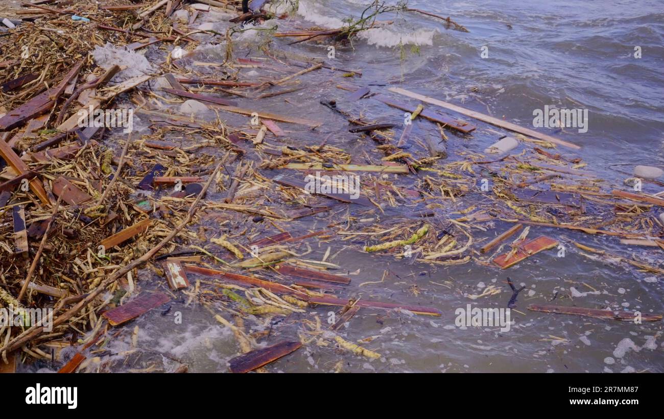 Close-up of floating debris has reached Black Sea beaches in Odessa ...