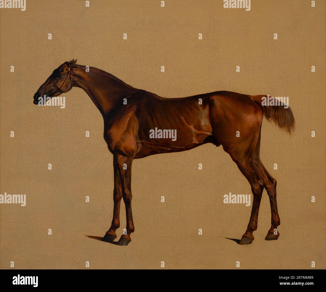 Pangloss, George Stubbs, circa 1762, Indianapolis Museum of Art ...