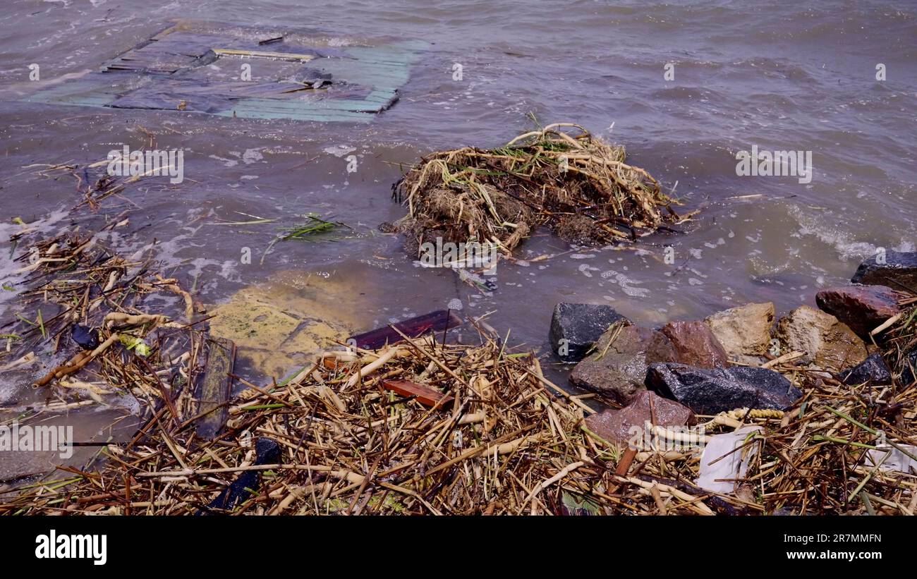 Part of wall of house floats near shore, floating debris has reached ...