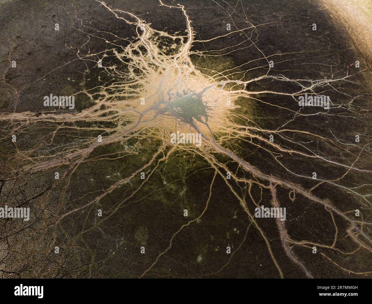 An almost dry lake in South Pantanal, effect of the strong drought in ...
