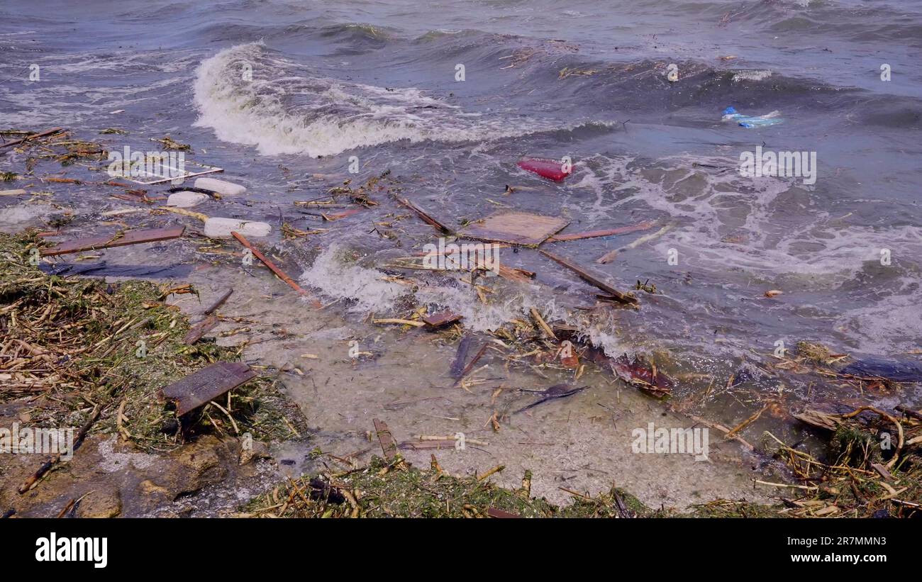 Close-up of floating debris has reached Black Sea beaches in Odessa ...