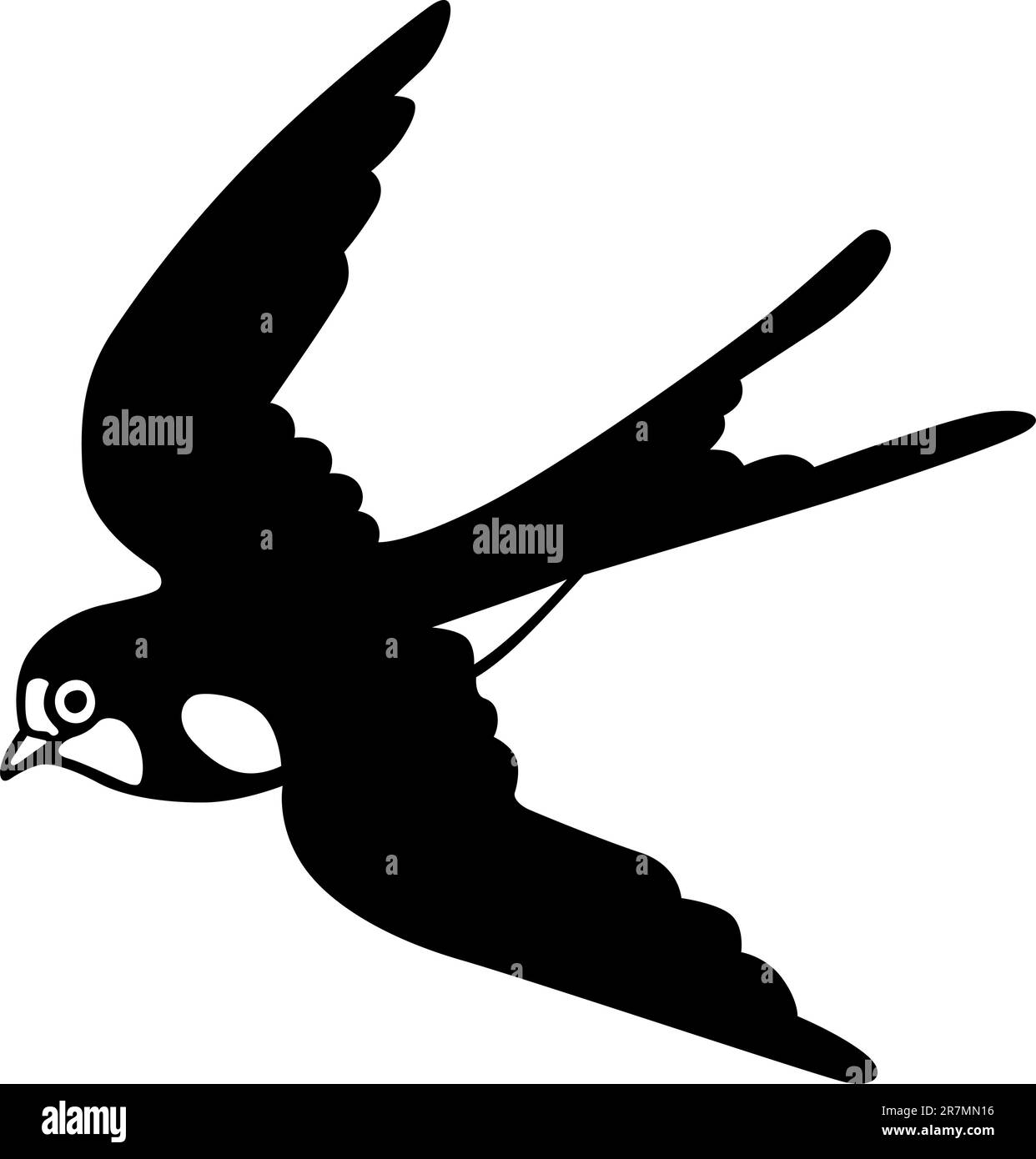 Bird scratch Cut Out Stock Images & Pictures - Alamy