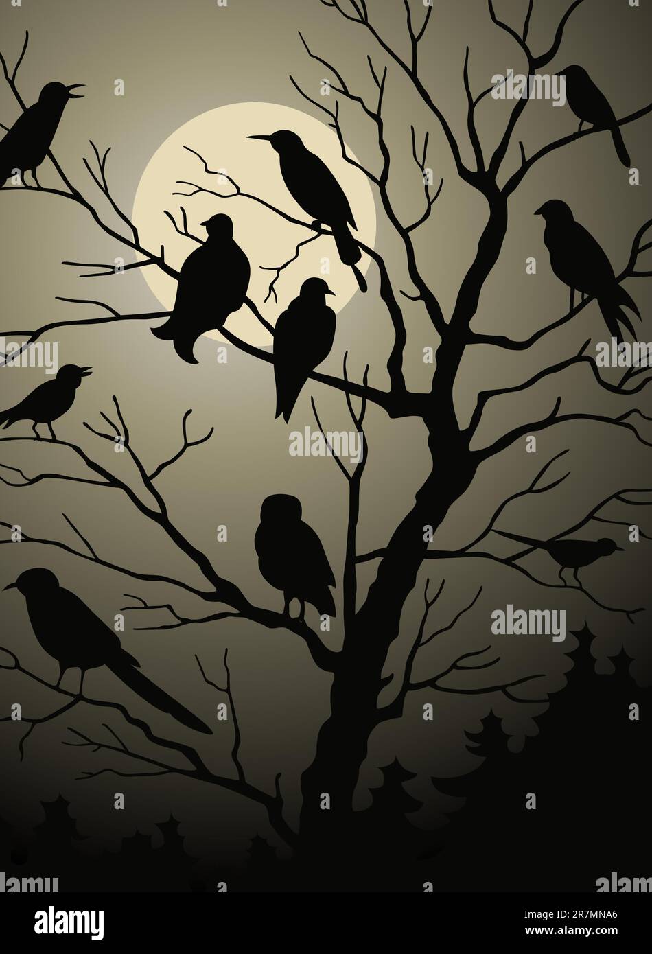 Cartoon woods hi-res stock photography and images - Alamy