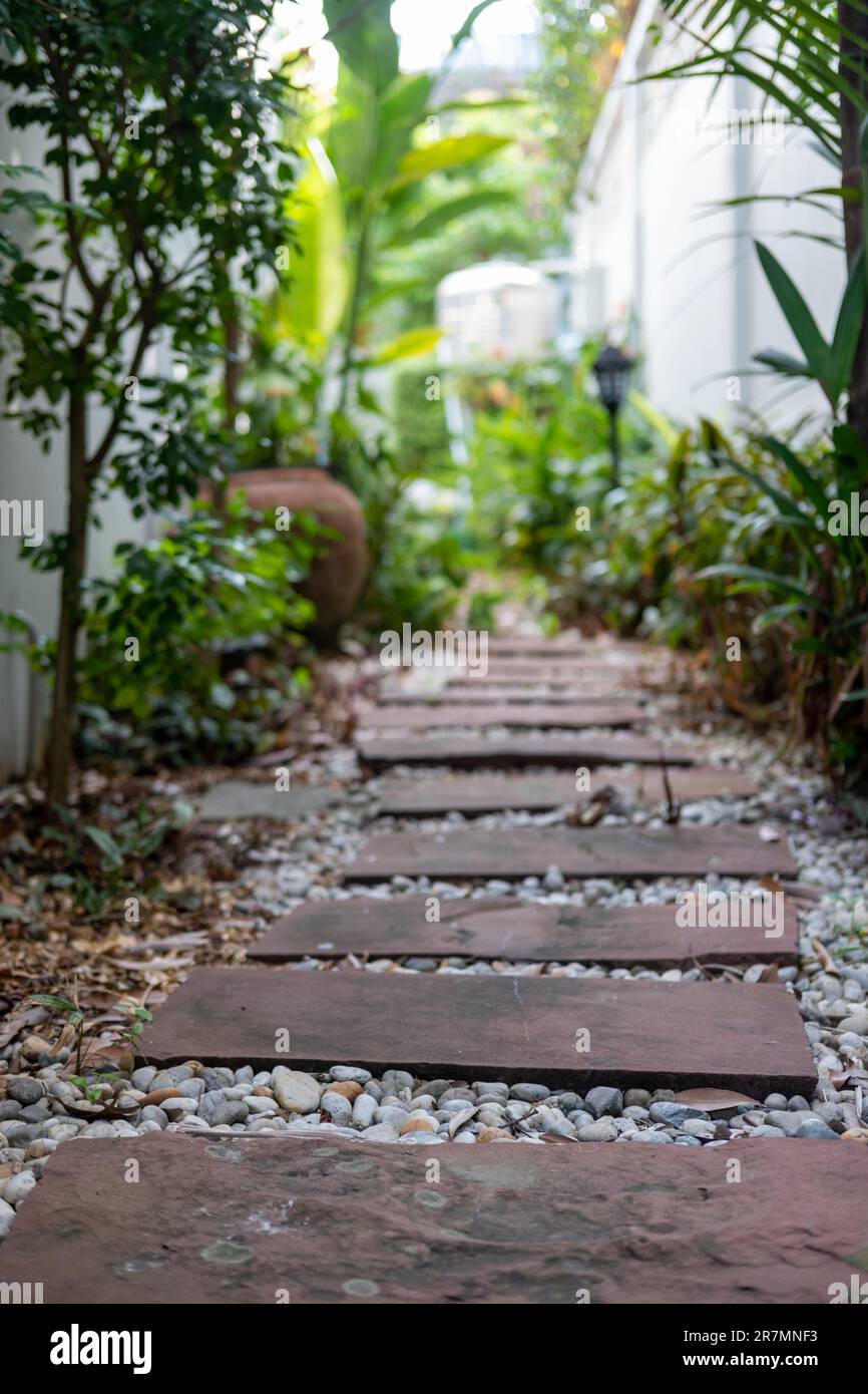 Stone path in the backyard garden with trees along the sides Stock ...