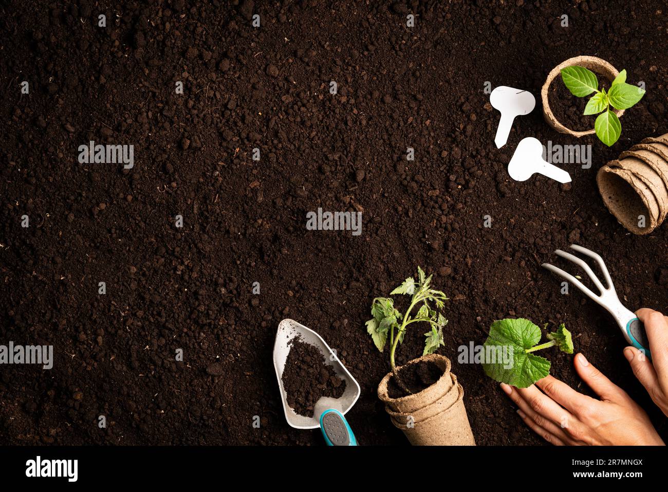 Garden tools and plants Stock Photo - Alamy