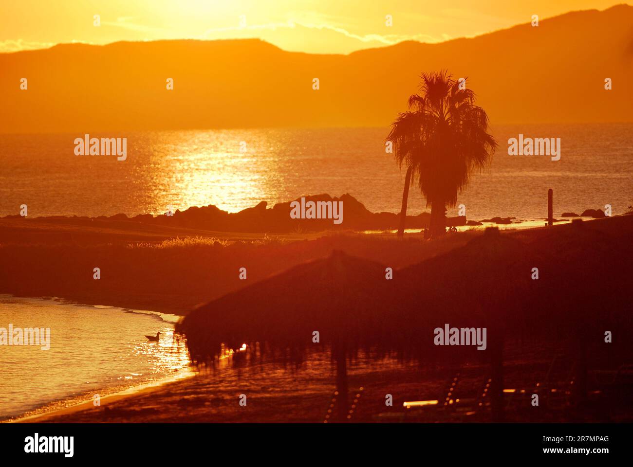 Image of Baja Mexico Stock Photo - Alamy