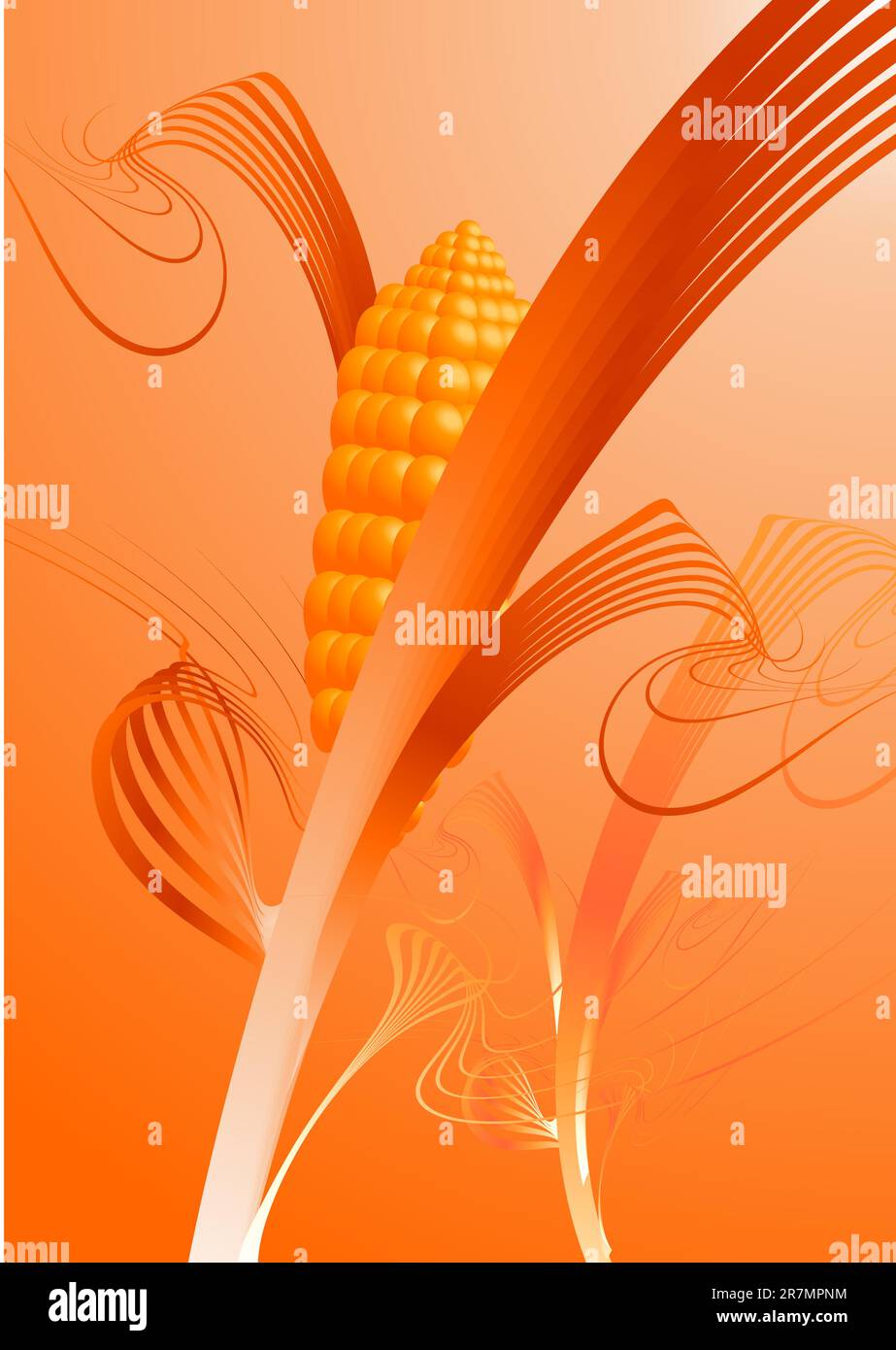 Corn stalk decoration hi-res stock photography and images - Alamy