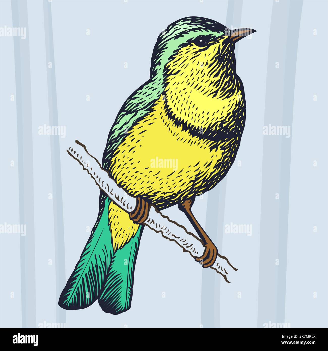 Light blue tail Stock Vector Images - Alamy