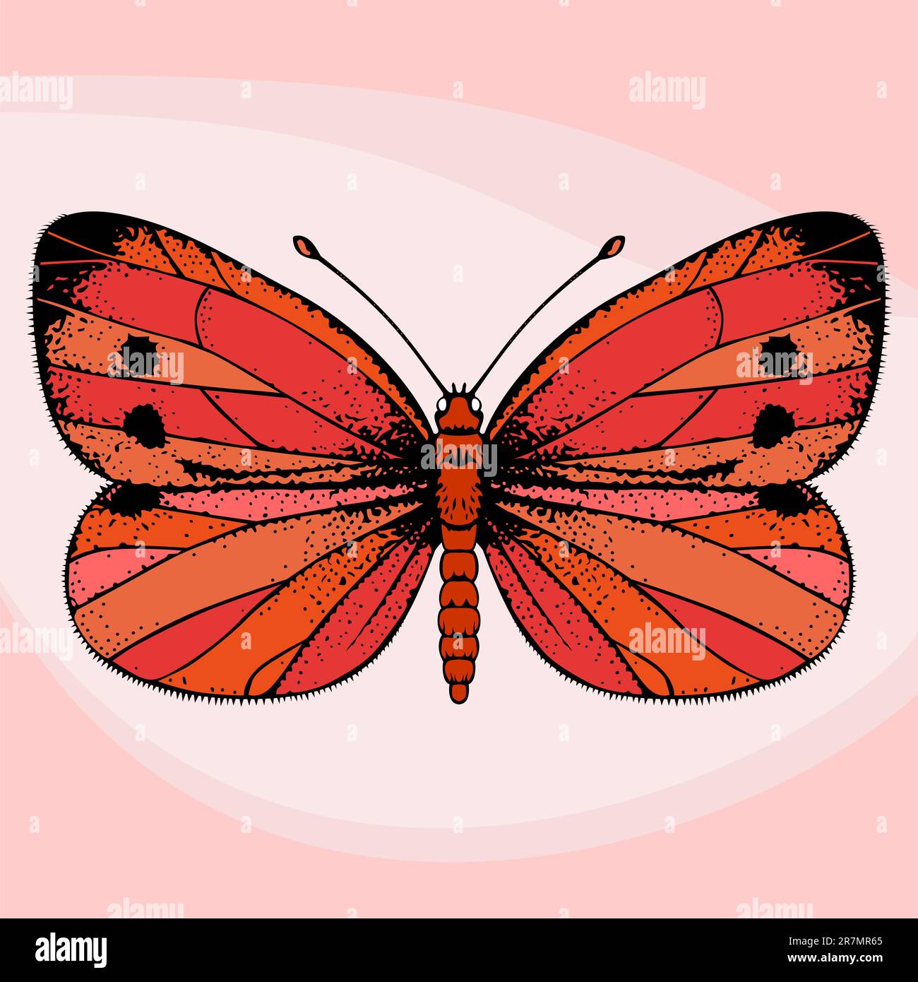 Butterfly wing study hi-res stock photography and images - Alamy