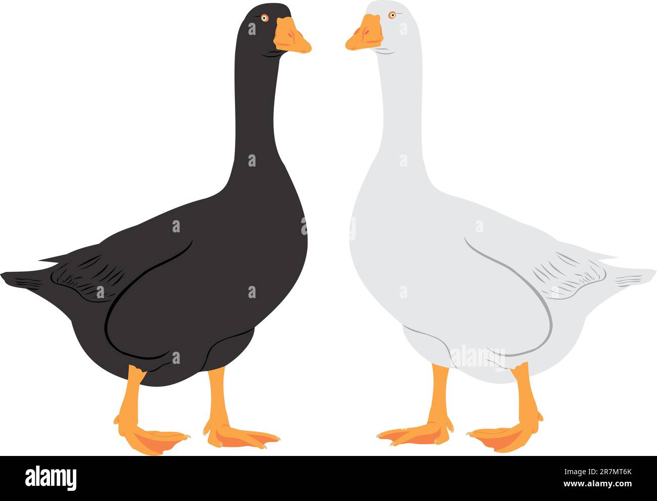 Goose house Stock Vector Images - Alamy