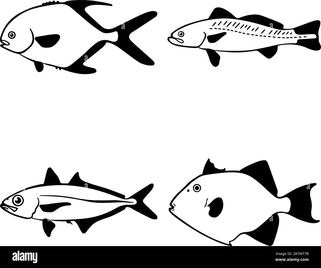 Fish on white background Stock Vector Image & Art - Alamy
