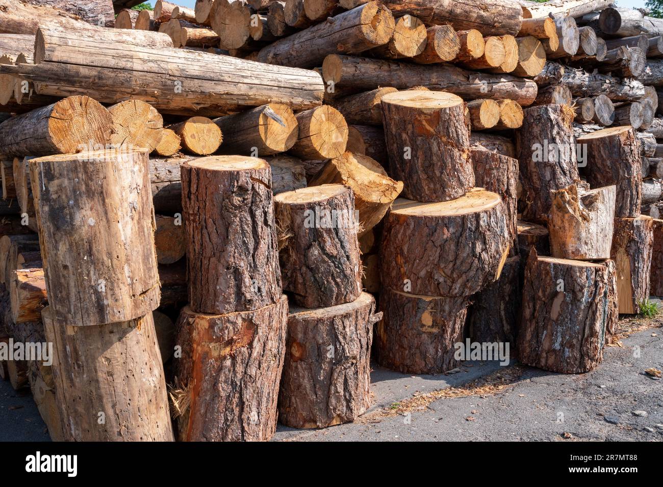Stacked logs of trees. The concept of environmental safety Stock Photo ...
