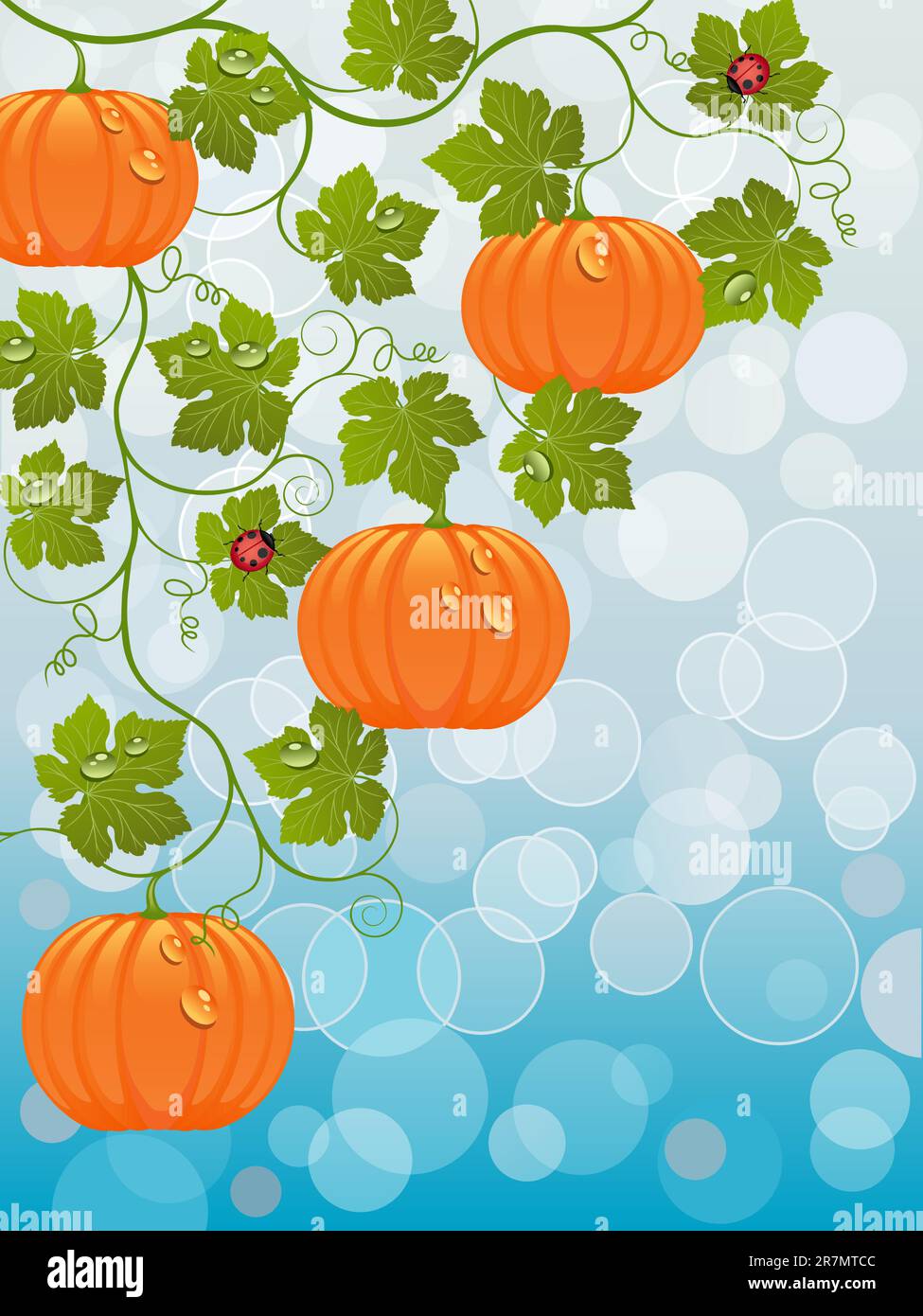 Floral background with a pumpkin. Vector illustration Stock Vector ...