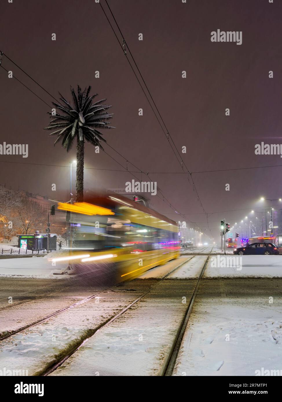 Artificial Palm Tree at Charles de Gaulle Roundabout, Warsaw, Masovian ...