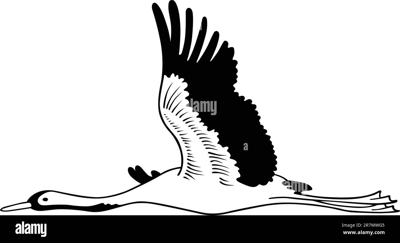 Bird scratch Cut Out Stock Images & Pictures - Alamy