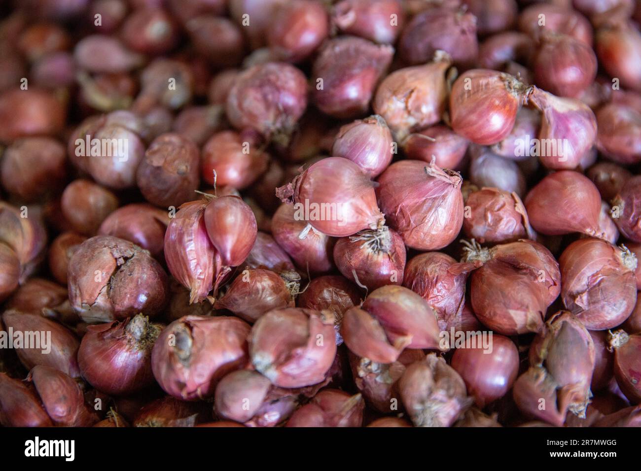 Bunch of shallots hi-res stock photography and images - Alamy