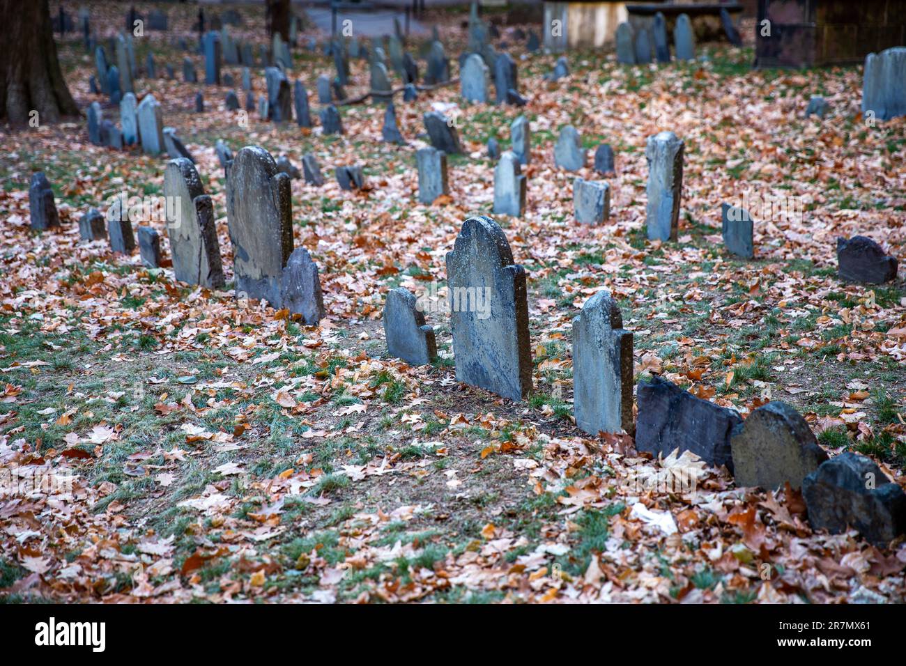 Memoriance hi-res stock photography and images - Alamy