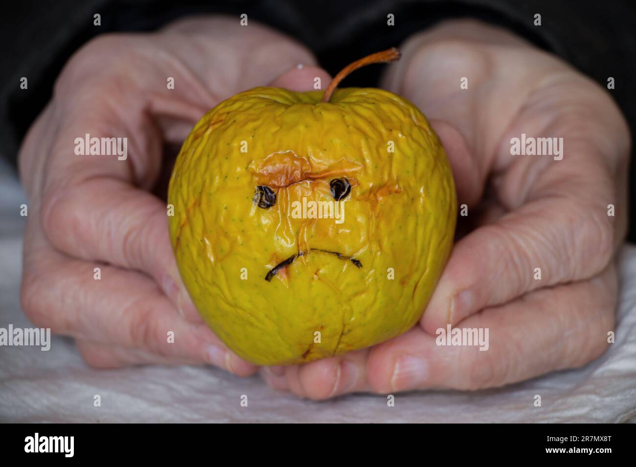 One dry sluggish apple with a sad smile in the hands of an old woman ...