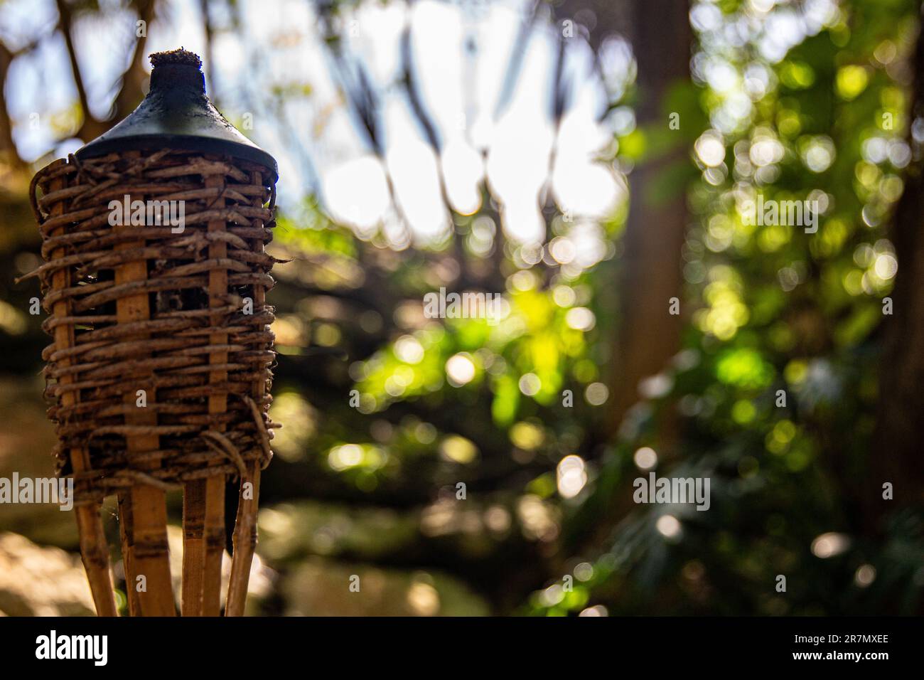 Unlit tiki torch set up for a party Stock Photo - Alamy