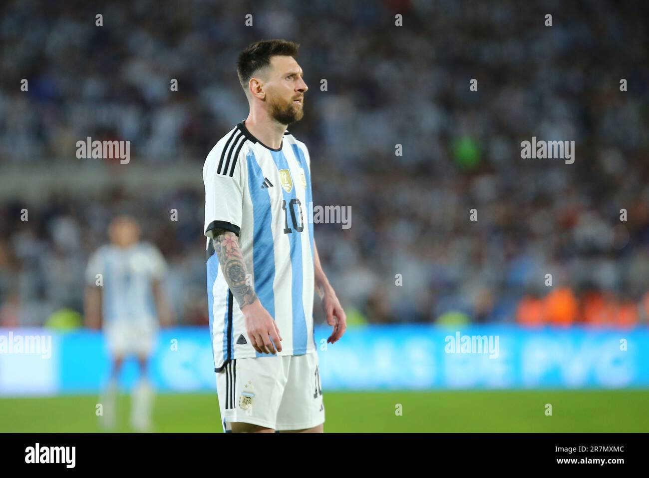 Lionel Messi World Champion and his family Stock Photo - Alamy