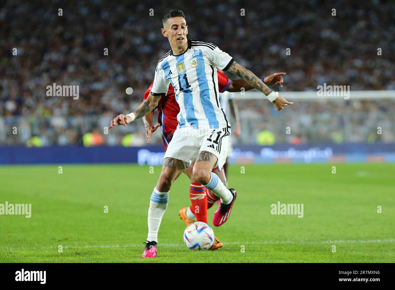 Messi 2022 world cup hi-res stock photography and images - Alamy