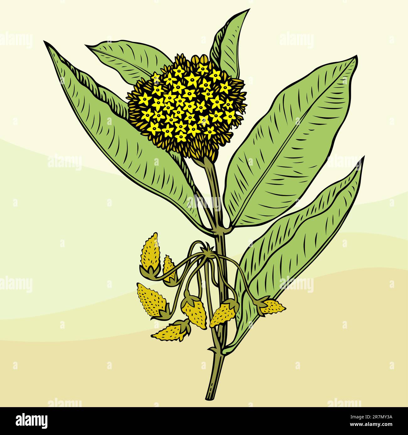 Color isolation hi-res stock photography and images - Alamy