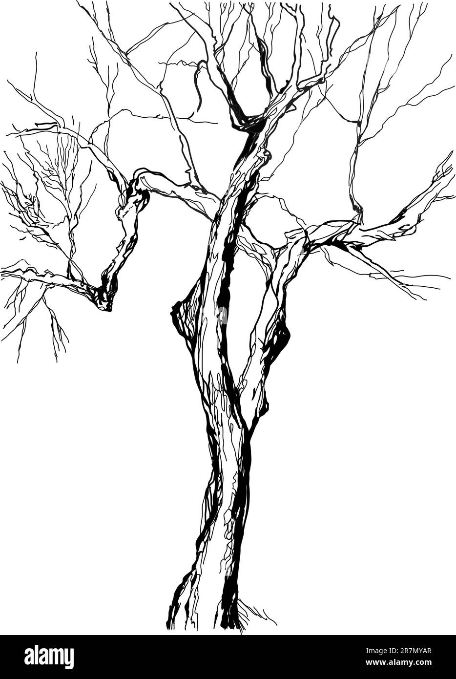 Handcrafted drawing Black and White Stock Photos & Images - Alamy