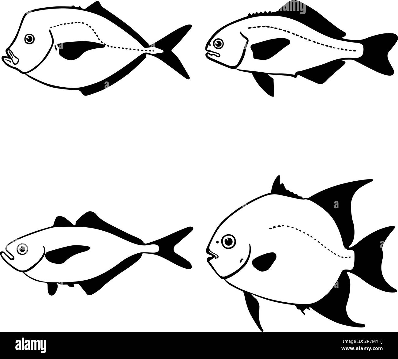 Fish on white background Stock Vector Image & Art - Alamy
