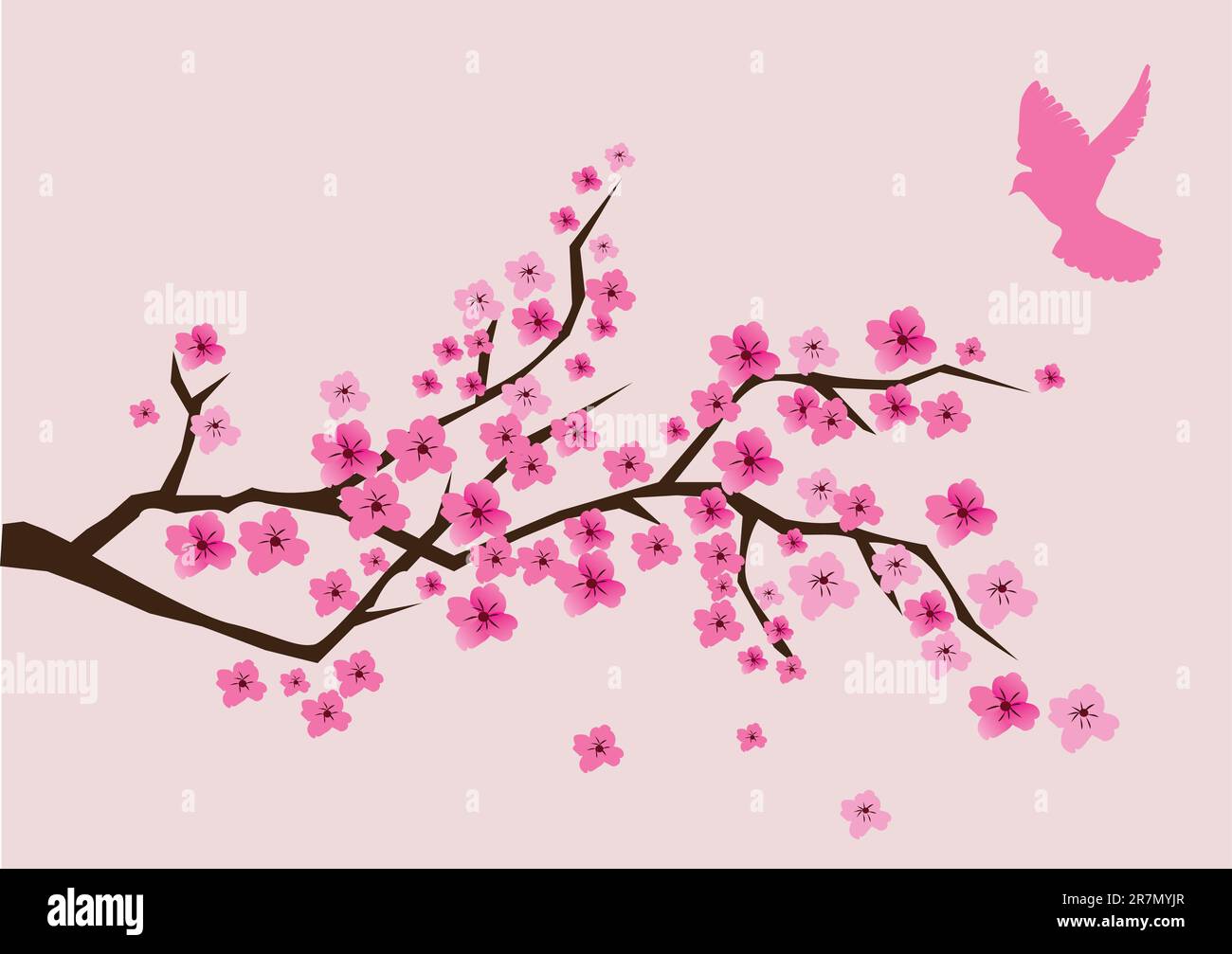vector illustration of cherry blossom with pink dove Stock Vector Image ...