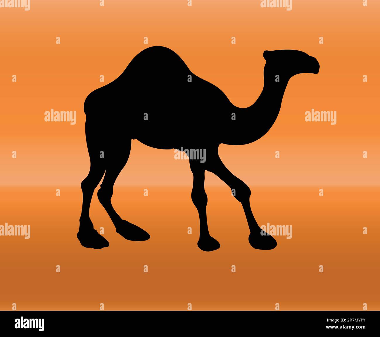 Camel silhouette with background - vector Stock Vector Image & Art - Alamy