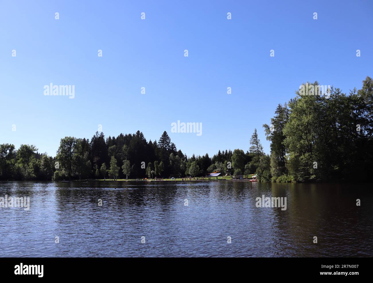 Lindenberg hi-res stock photography and images - Alamy