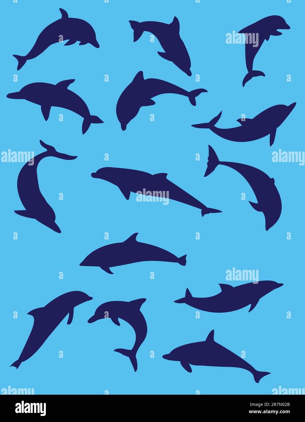 Dolphin surfing with person hi-res stock photography and images - Alamy