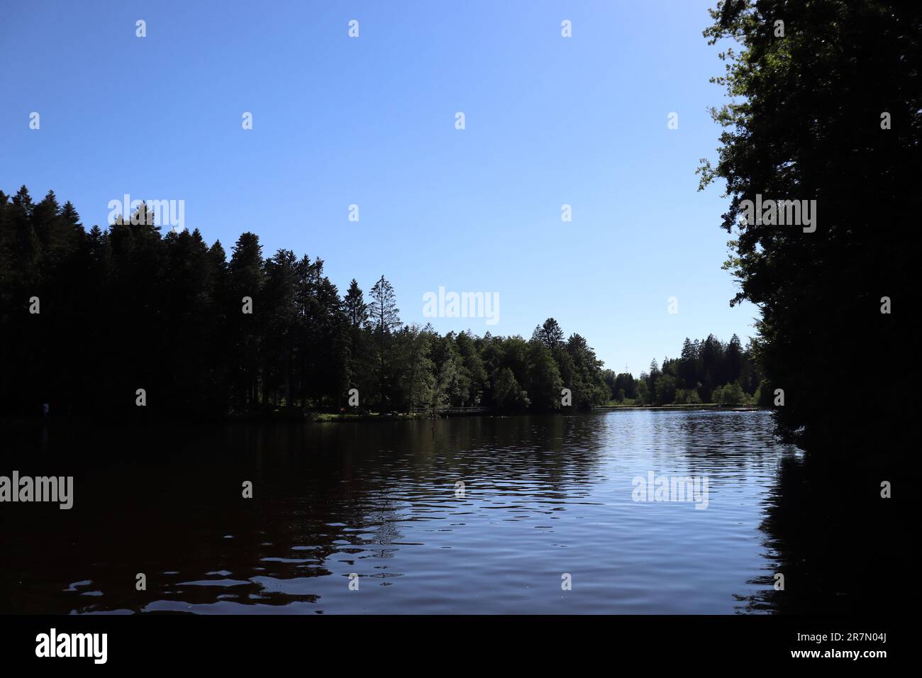 Lindenberg hi-res stock photography and images - Alamy