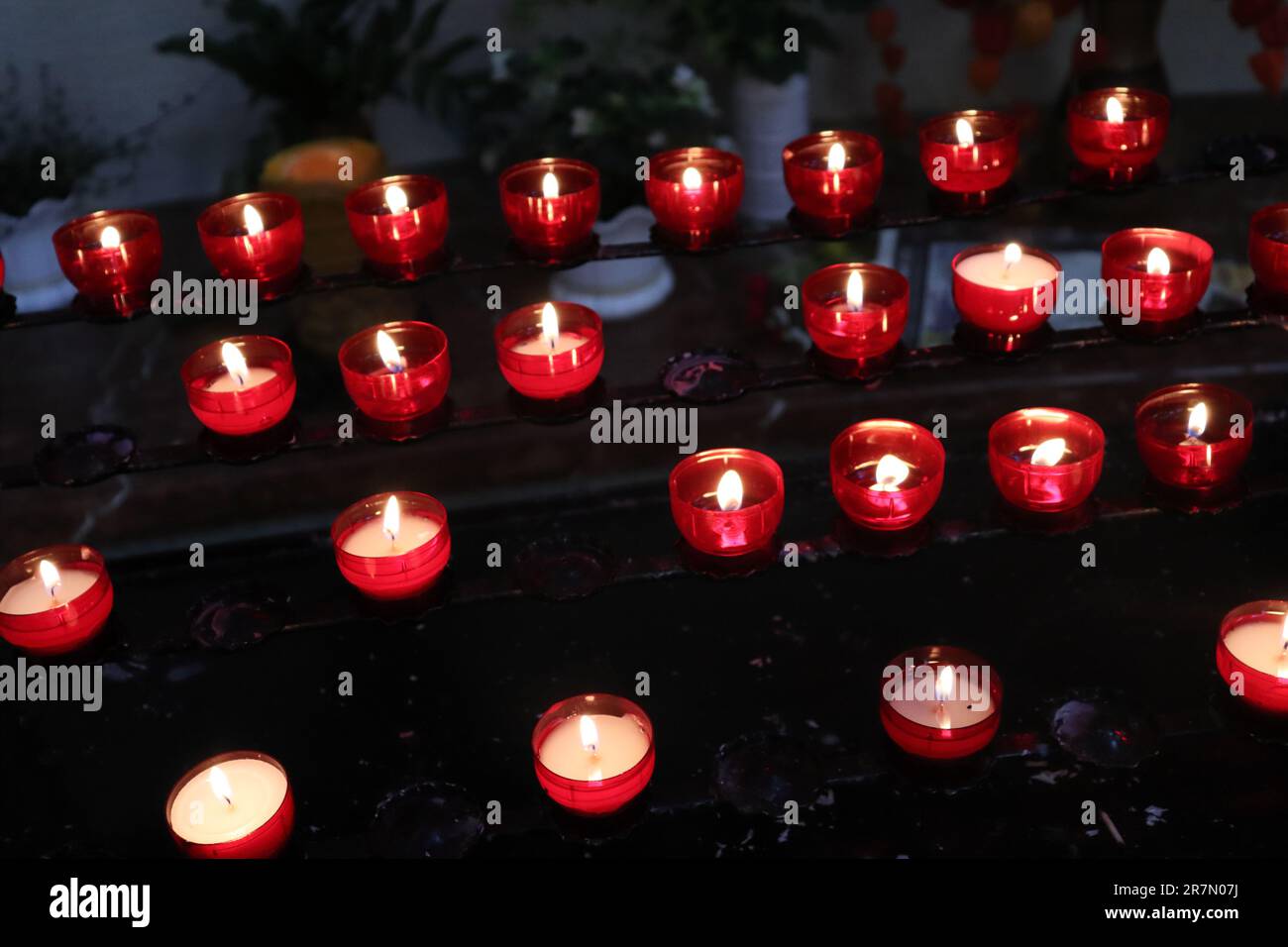 Lindenberg hi-res stock photography and images - Alamy