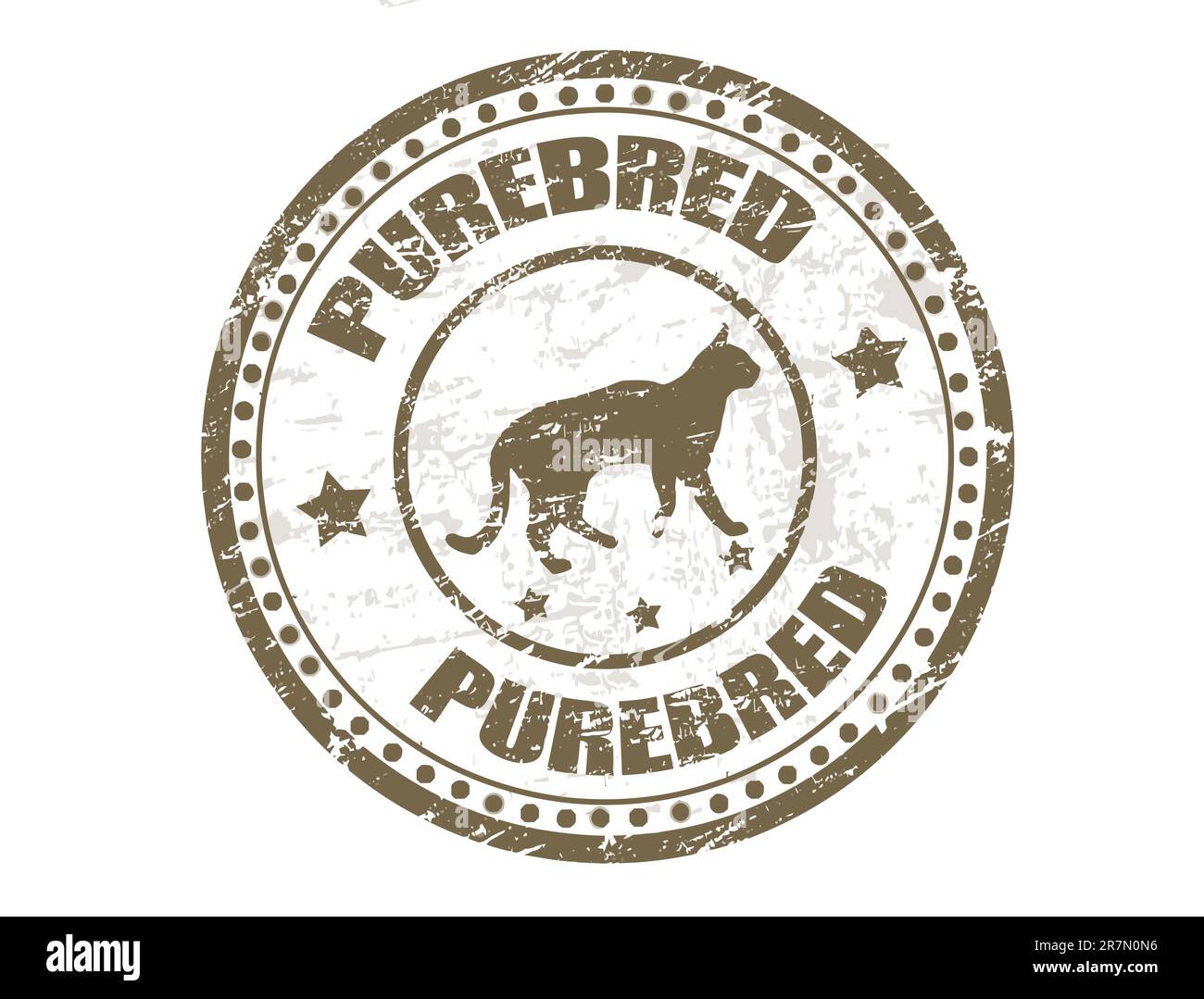 Grunge rubber stamp with cat silhouette and the word purebred written ...