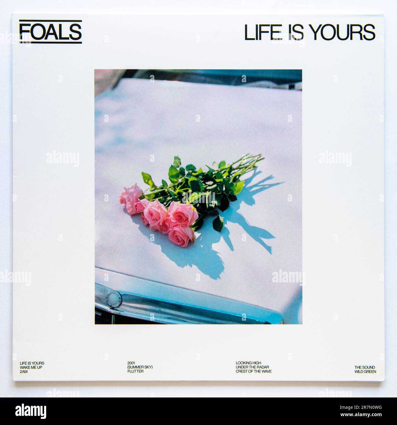 Bands Are Life Tumblr