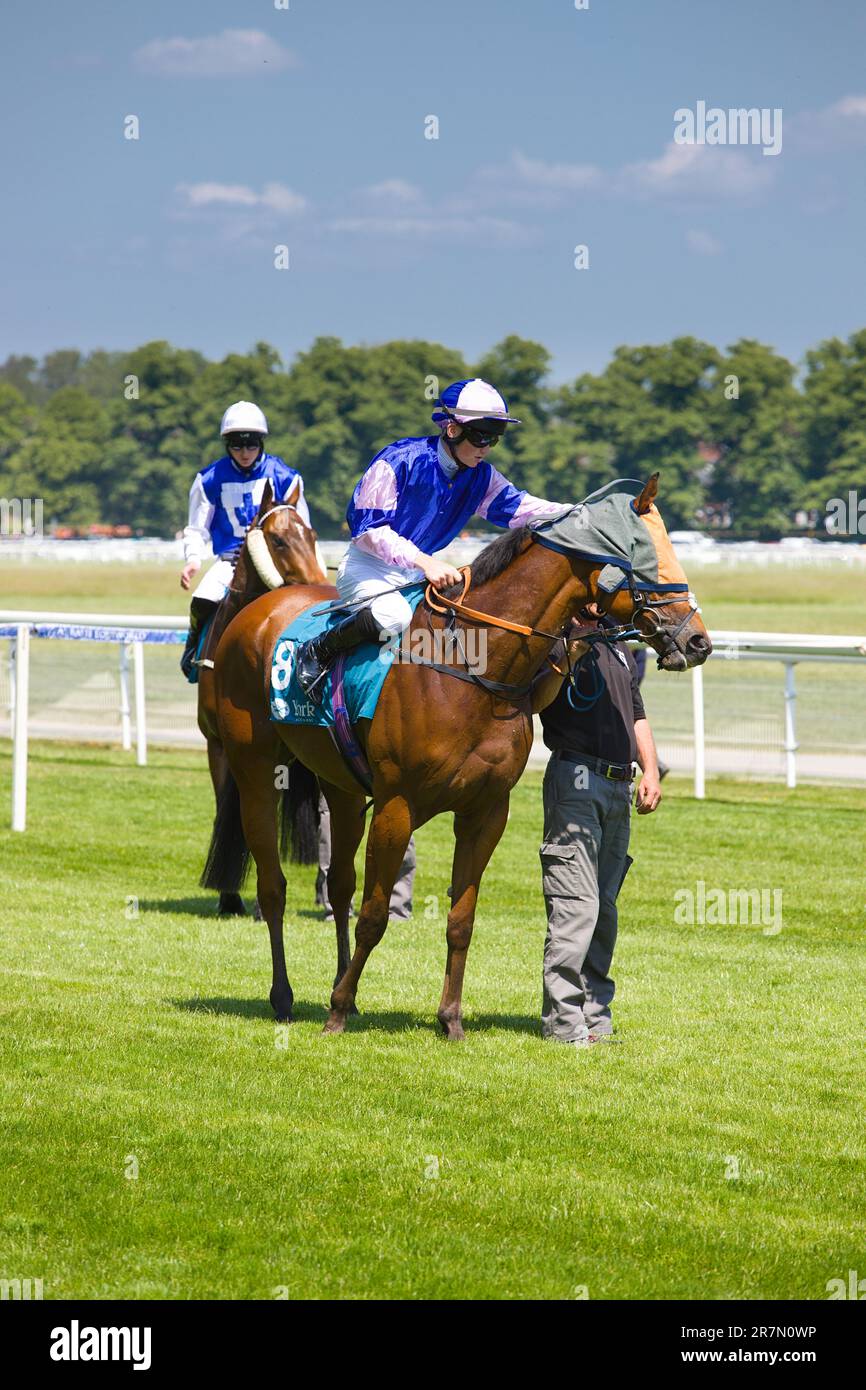 June meeting york racecourse hi-res stock photography and images - Alamy