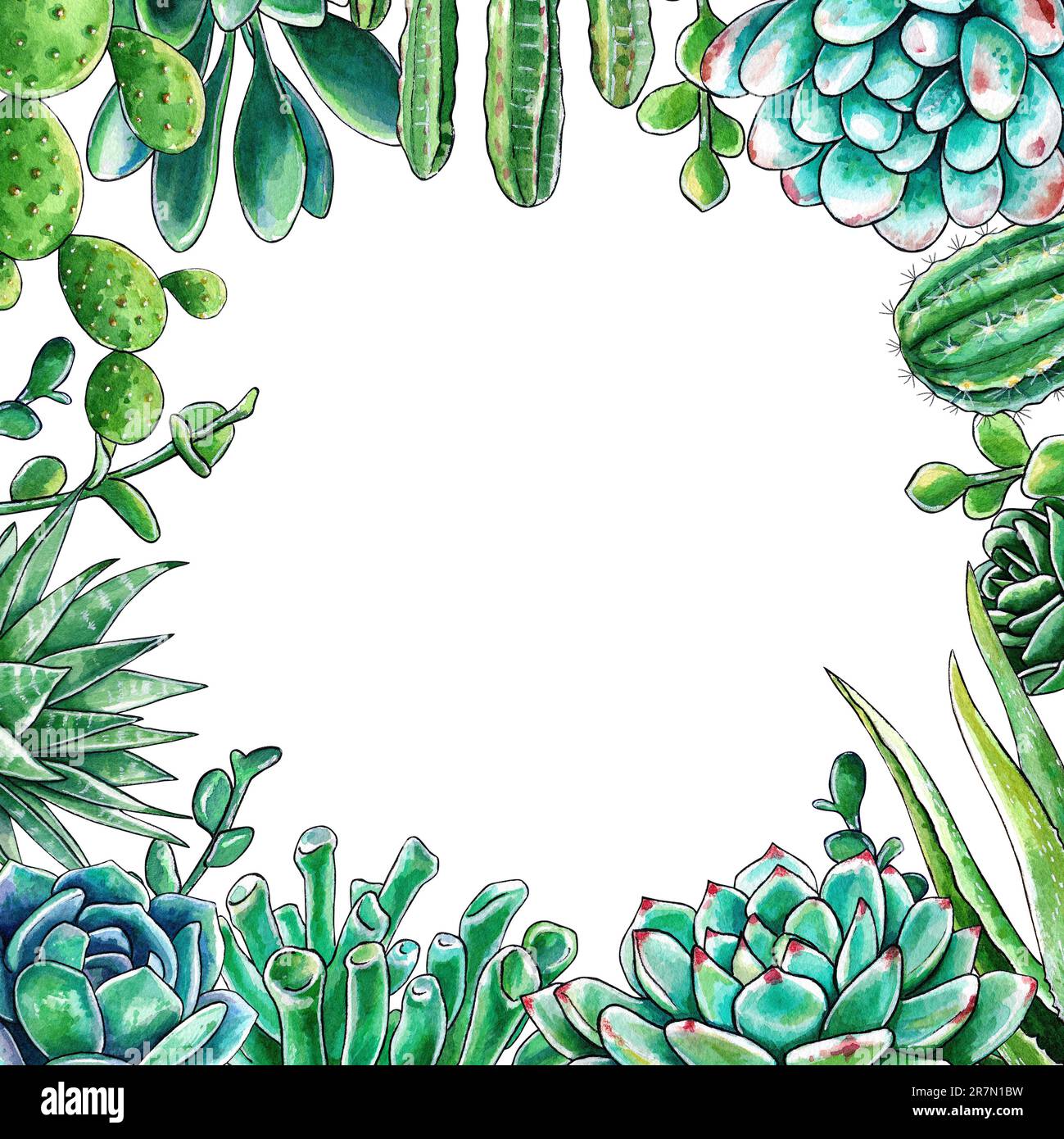 Bright frame of cacti and succulents. Watercolor hand drawn ...